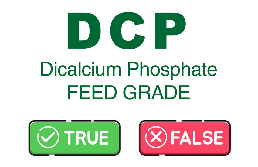 Identification method of feed grade dicalcium phosphate - Polifar
